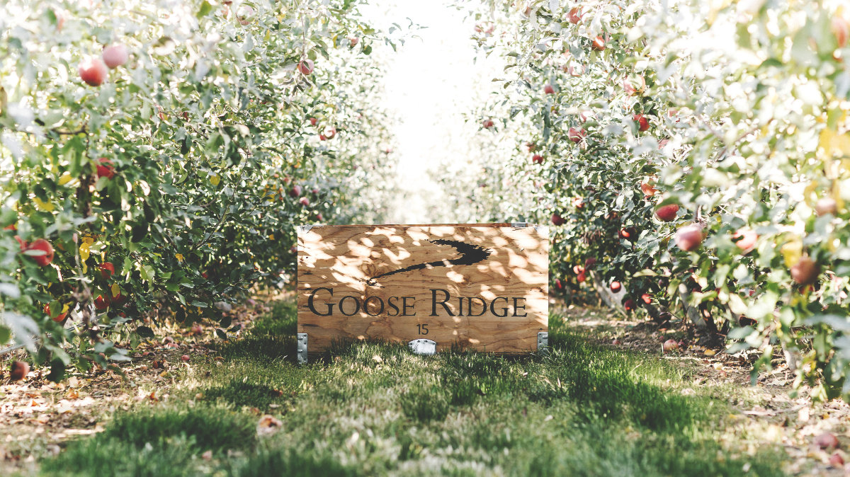 Goose Ridge Vineyards - Our Heritage - Our Land