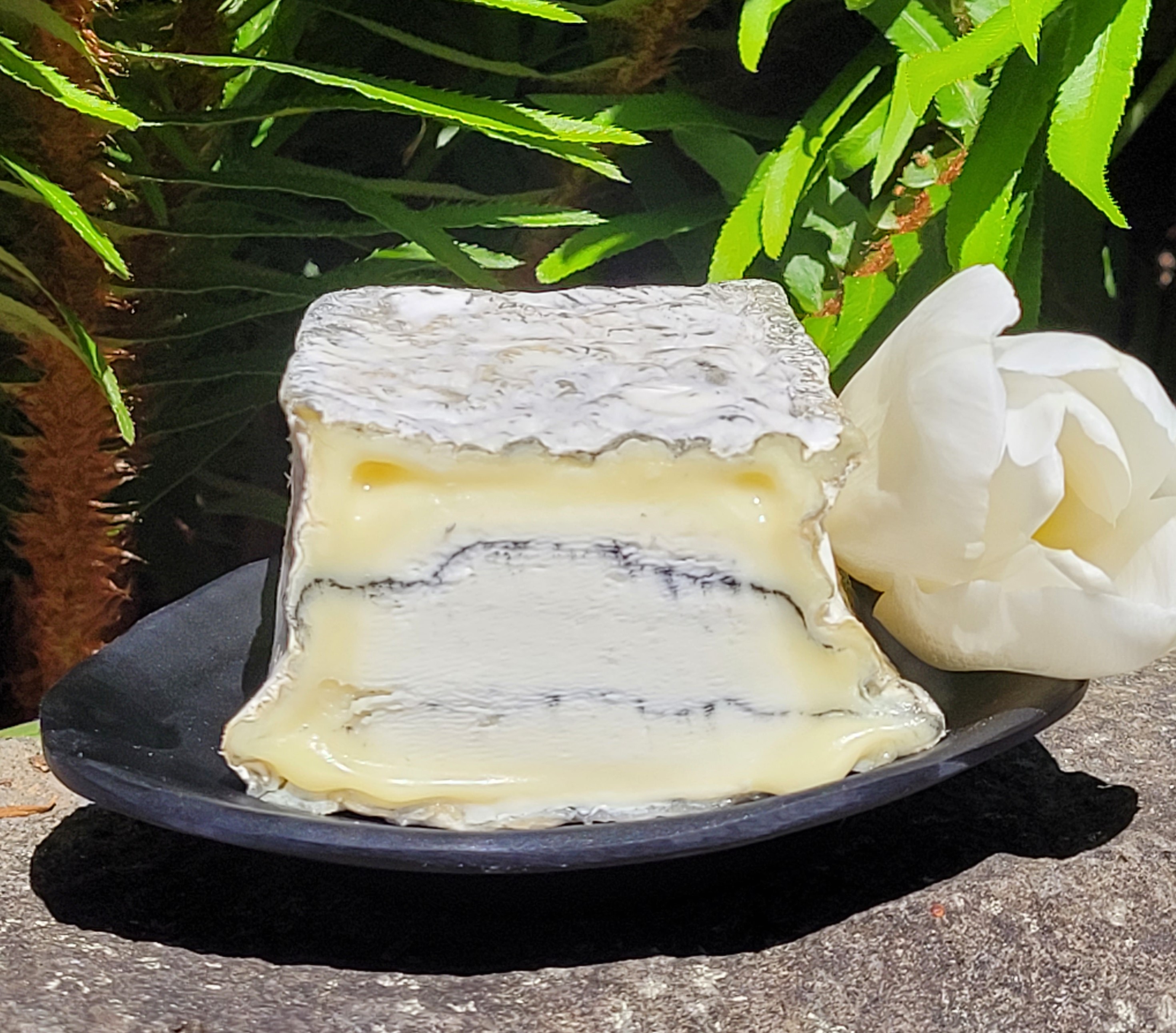 Washington Tasting Rooms | Goose Ridge | Events